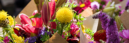 EL CARTERO DEL REY. TAGORE – UN LIBRO ABIERTO